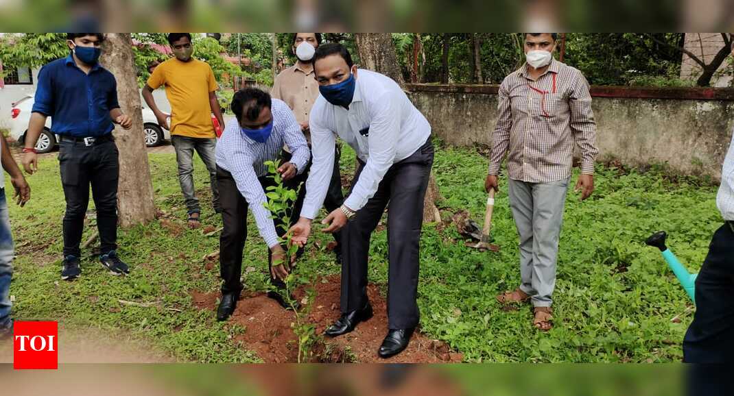 Tree plantation drive held at Postal staff colony | Events Movie News ...