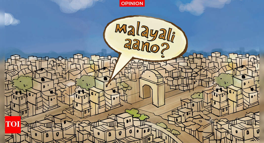 Why it feels pretty good to be a Malayali in Delhi | India News - Times ...