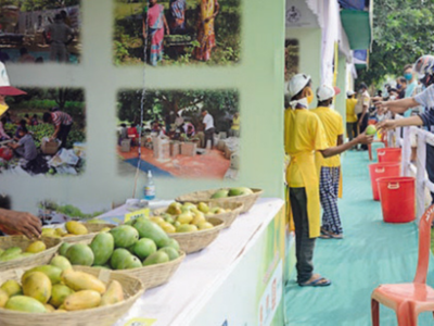 Odisha Rural Development and Marketing Society mango stalls a big draw ...