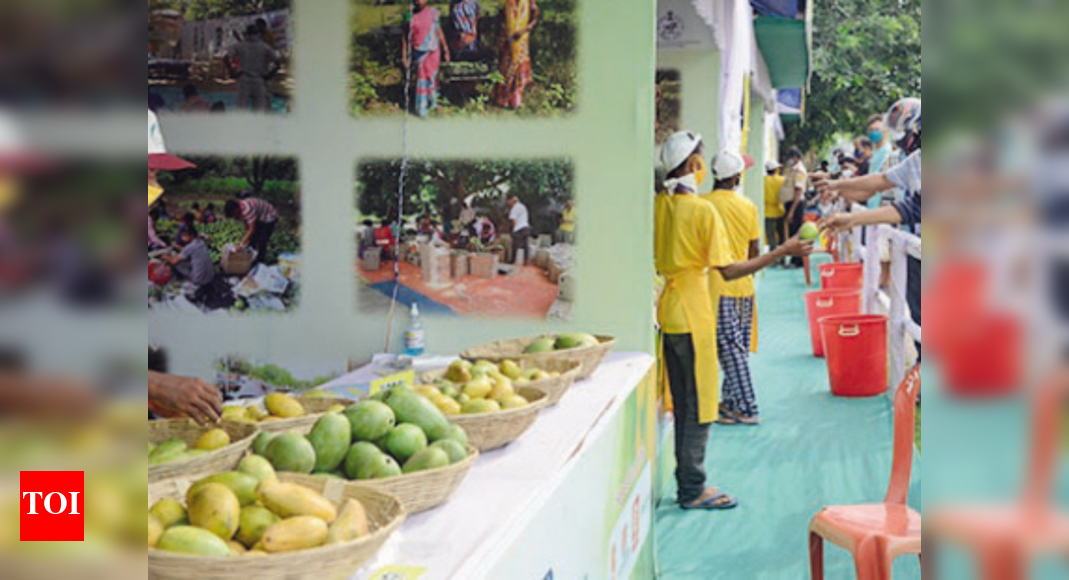 Odisha Rural Development and Marketing Society mango stalls a big draw ...