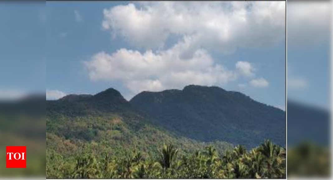 Deforestation threat looms over Goa’s third highest hill | Goa News ...