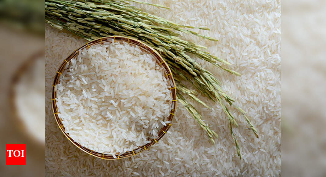 Kala Namak rice gets Uttar Pradesh government’s push | Lucknow News ...