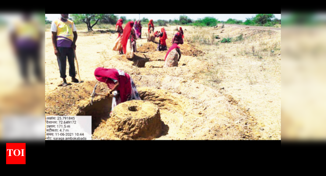 Rajasthan: NREGA rescues jobless amid lockdown, Barmer tops chart ...