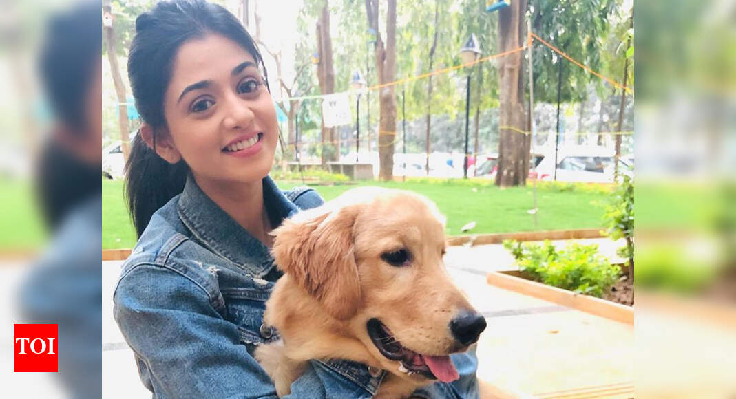 Hugging and cuddling my pet Oscar was the highlight of our family ...