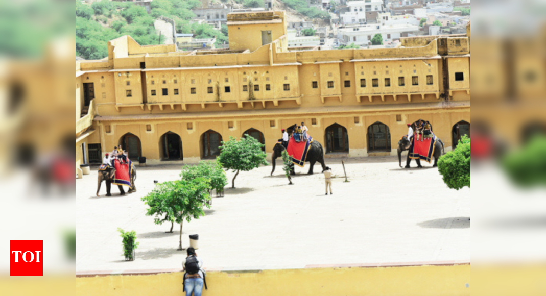 Over 500 visit monuments, museums in Jaipur | Jaipur News - Times of India