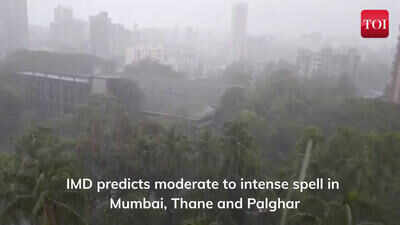 IMD predicts moderate to intense spell in Mumbai, Thane and Palghar | Mumbai News - Times of India