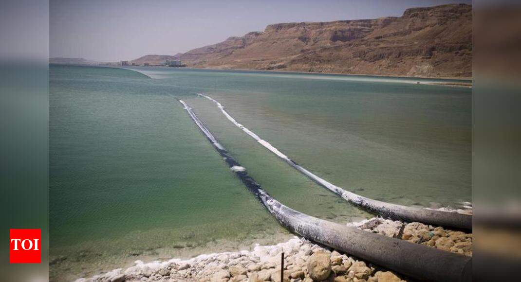 Jordan battles to save rare tiny Dead Sea carp - Times of India