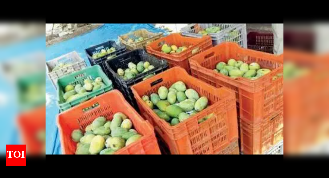 Gujarat: Hafoos gets a worthy successor in Sonpari | Surat News - Times ...