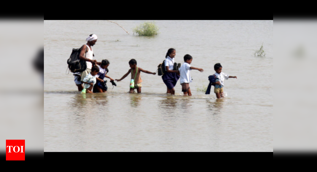 Uttar Pradesh: Flood alert issued in many districts | Lucknow News ...