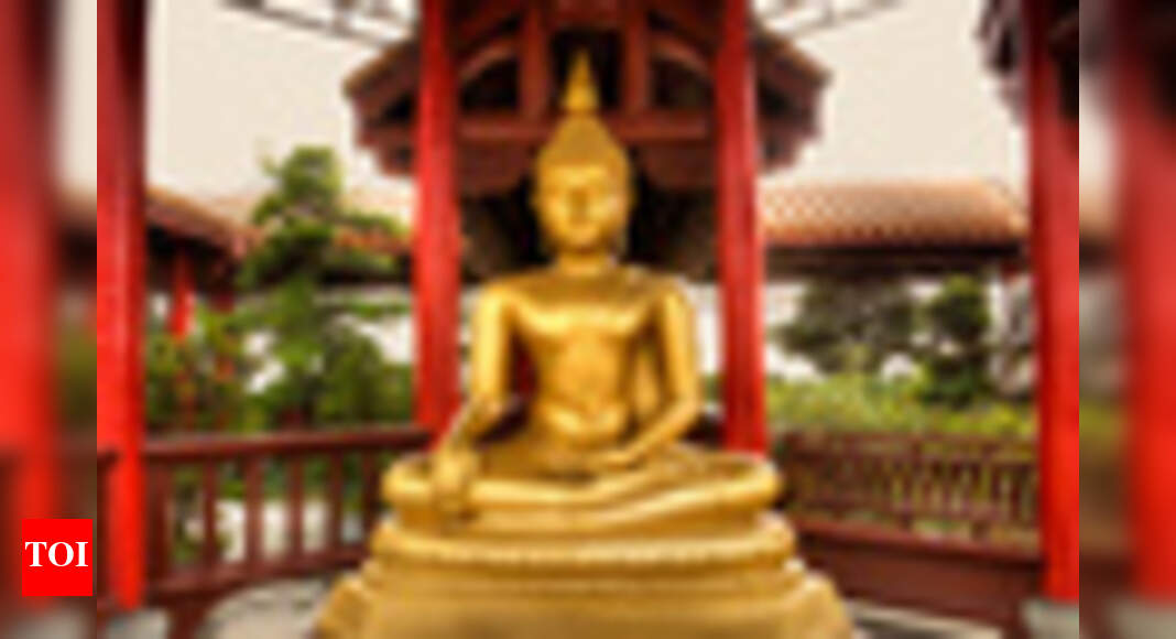 Doctrine of the golden mean - Times of India