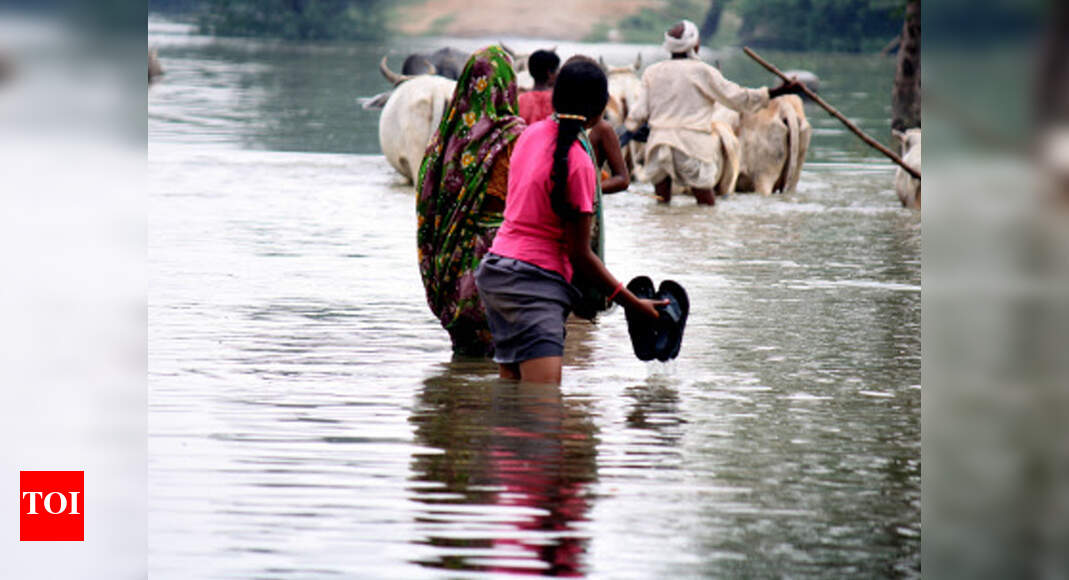 16 Uttar Pradesh districts on flood alert as rivers swell | Lucknow ...
