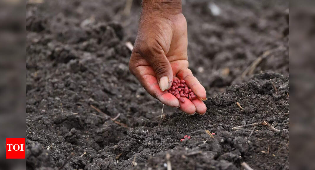 Cotton industry unprepared for climate change threat to crop and ...