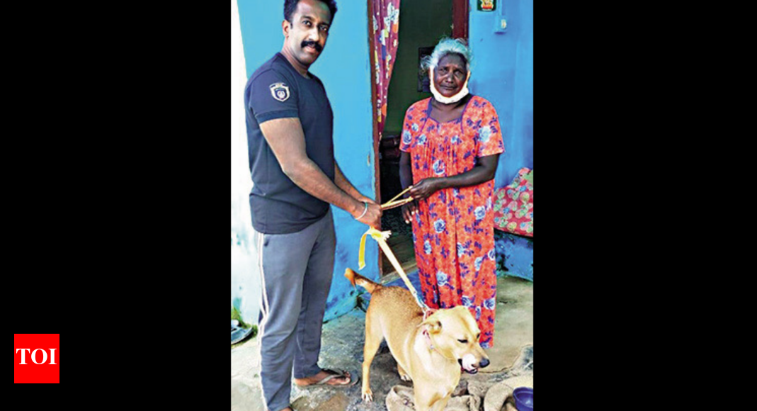 Kerala: Kuvi returns to her beloved trainer in Idukki | Kochi News ...