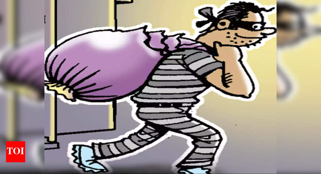 Bhopal: Thieves posing as key makers, steal jewellery worth Rs 5 lakh ...