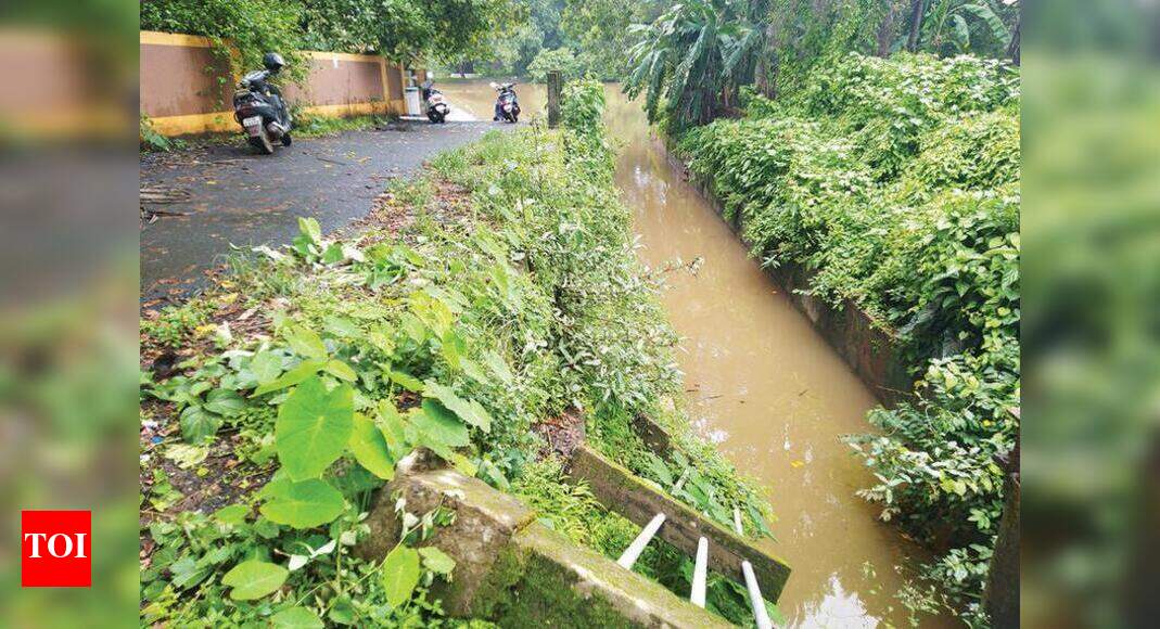 Safety concerns rise at Quepem as visitors throng Portuguese-era dam ...