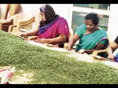 Cardamom auction resumes with a transparent system | Kochi News - Times ...