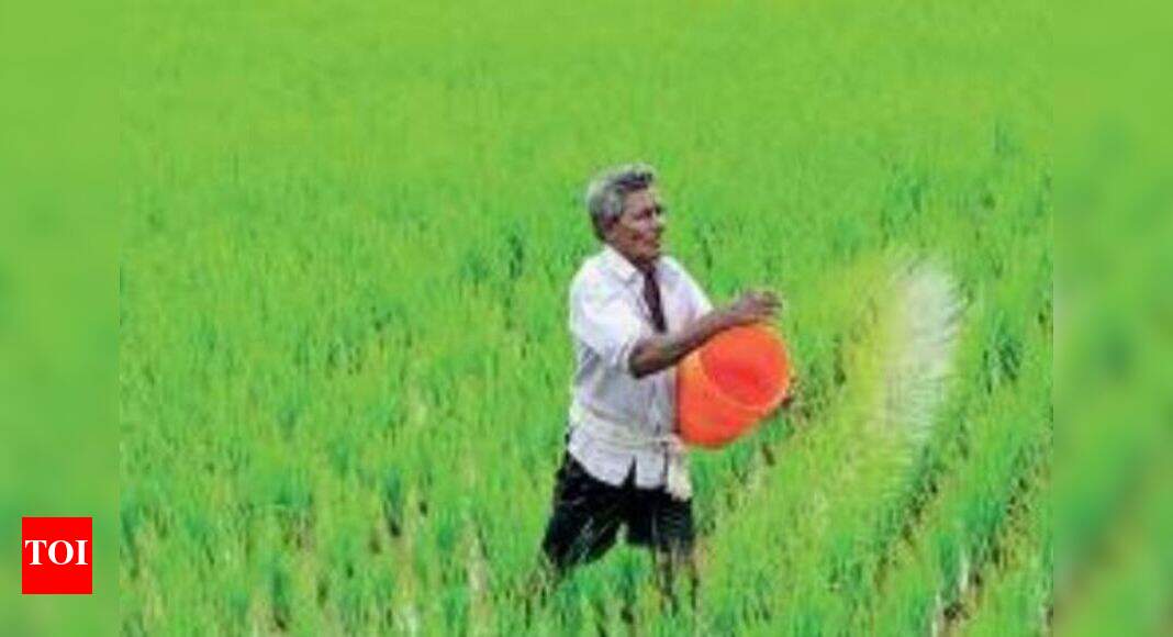 PMK's shadow budget focuses on 50 lakh agri, horticulture jobs ...