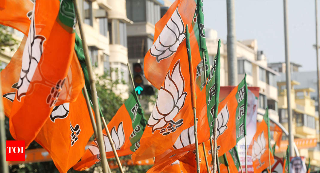 Odisha BJP passes resolution to work on six major political issues ...