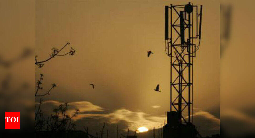 Radiation from cell phone towers causes no harm: DoT official - Times ...