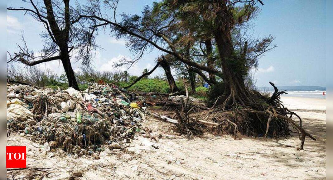 Goa: Garbage mounds affecting revival of Cavelossim dunes | Goa News ...