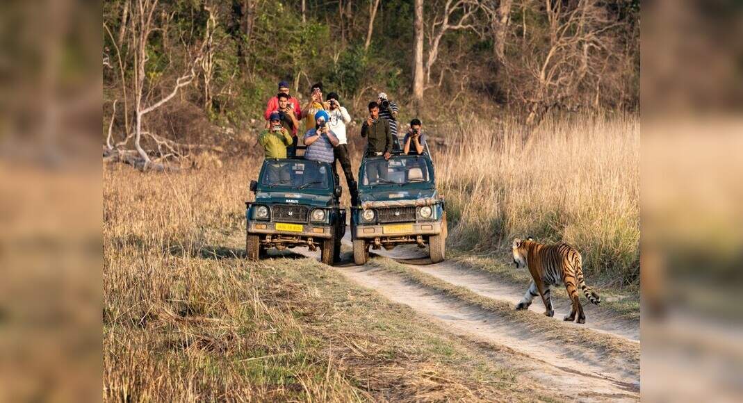 Jim Corbett tiger reserve opens; is now a year-round tourism ...