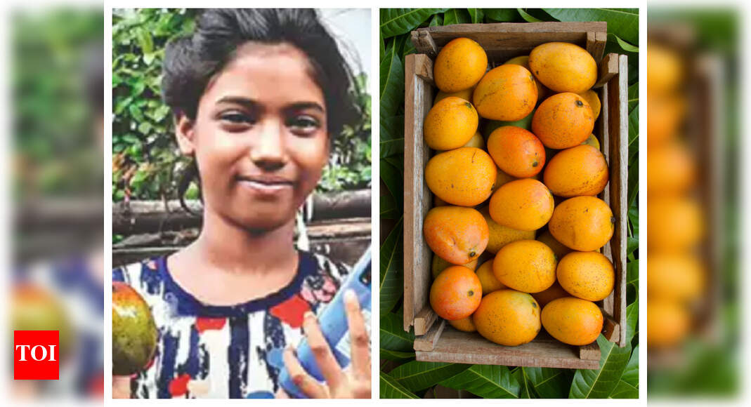 Man Buys 12 Mangoes For Rs 1 2 Lakhs To Help Street Vendor In Her
