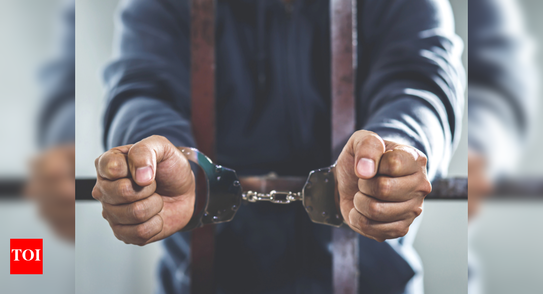 Former Mumbai Police Commissioner's son arrested for stalking ...