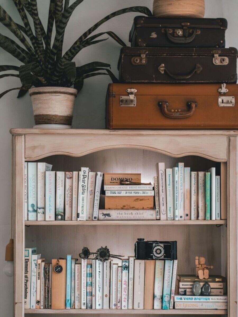 How To Take Care Of Your Books | Easy tips to take care of your books ...