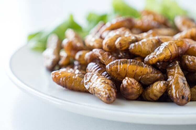 Unbelievably weird food of India | Times of India Travel