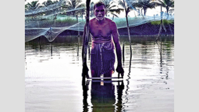 Kerala: Pokkali farmers await dewatering of farm in Chellanam | Kochi ...