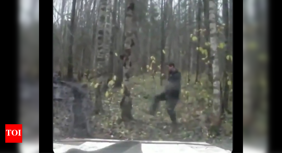 Viral video shows tree falling over man's head - Times of India