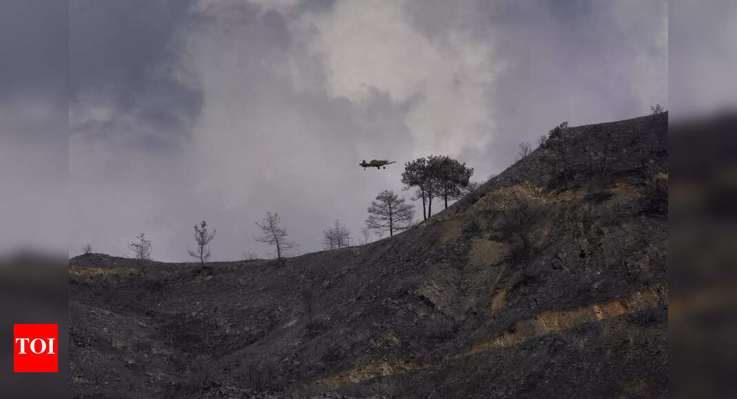 Huge Cyprus fire 'under full control': Forestry department - Times of India