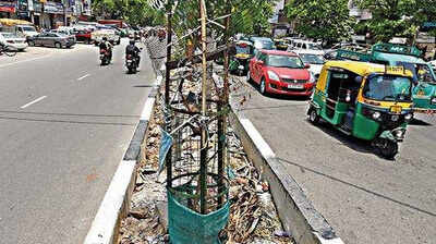 Muck stops here: Saplings on road divider at Bhishma Pitamah Marg share ...