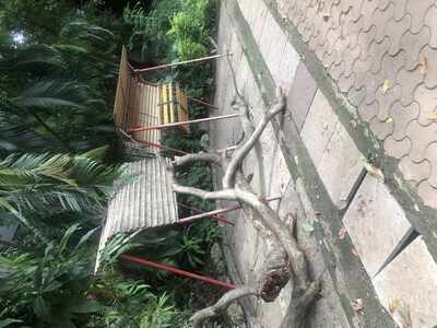 Patwardhan Park, Bandra West - Times of India
