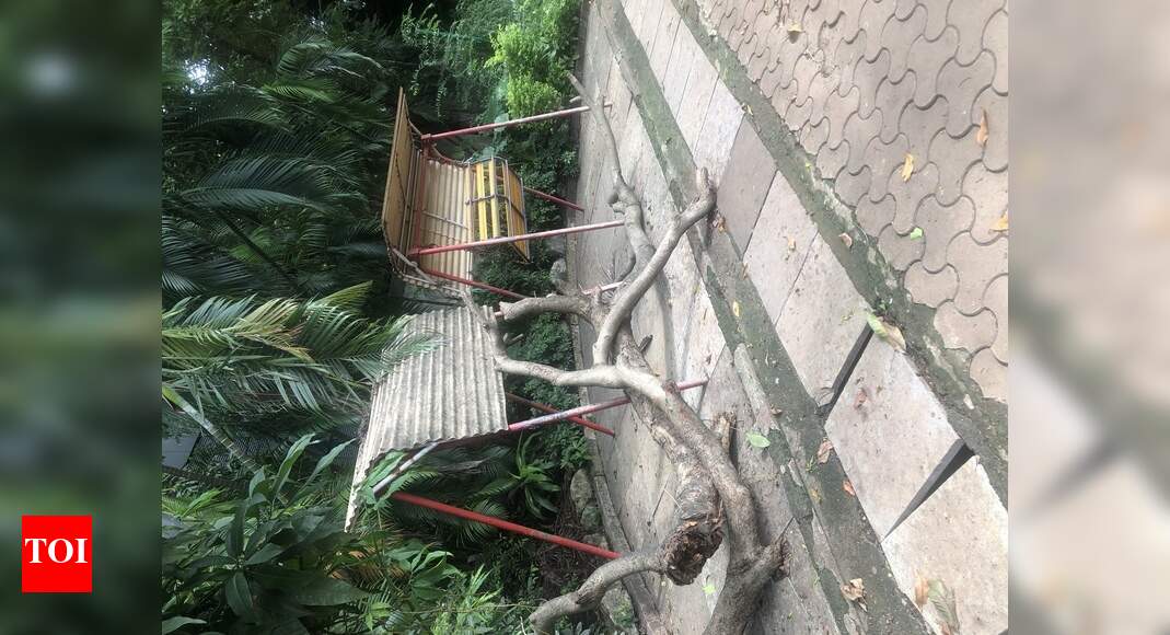 Patwardhan Park, Bandra West - Times of India