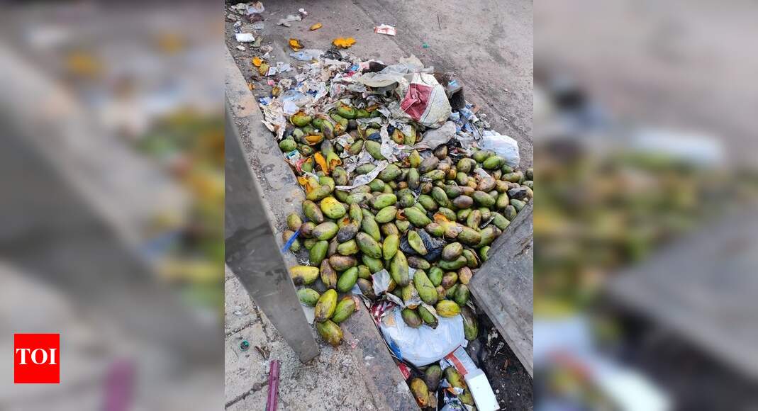 garbage problem in road - Times of India