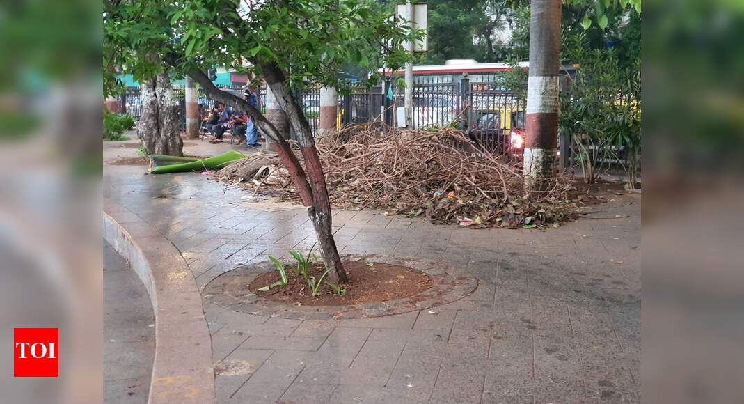 Bandra Lake - Times of India