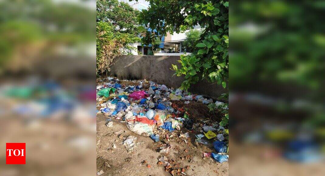 Garbage, leading to environmental damage. - Times of India