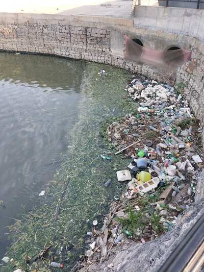 Garbage in Lake - Times of India