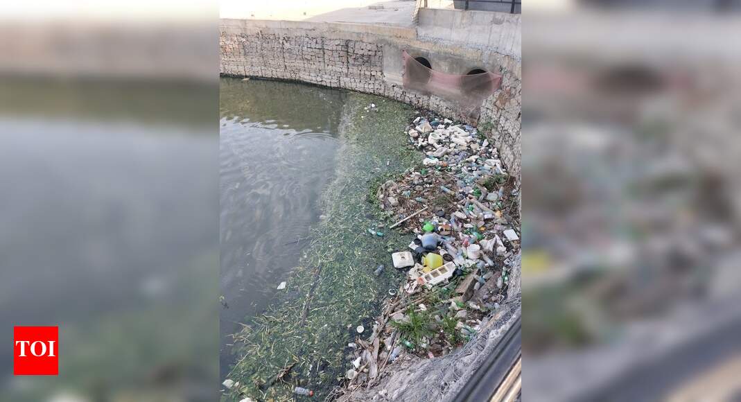 Garbage in Lake - Times of India
