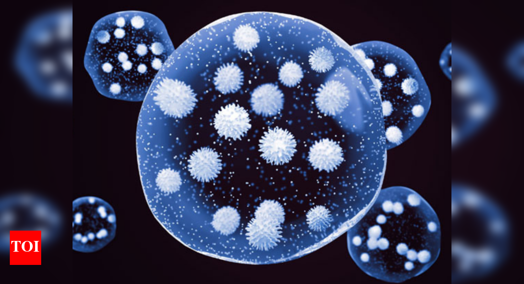 One loses battle, 10 contract virus in Tricity | Chandigarh News ...