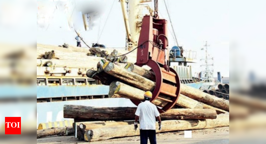 Gujarat: Wood turns hot as timber prices shoot up globally | Rajkot ...