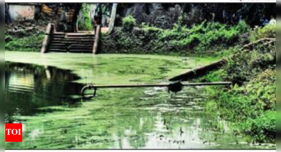 GVMC to rejuvenate tanks with an eye on Visakhapatnam water sources ...