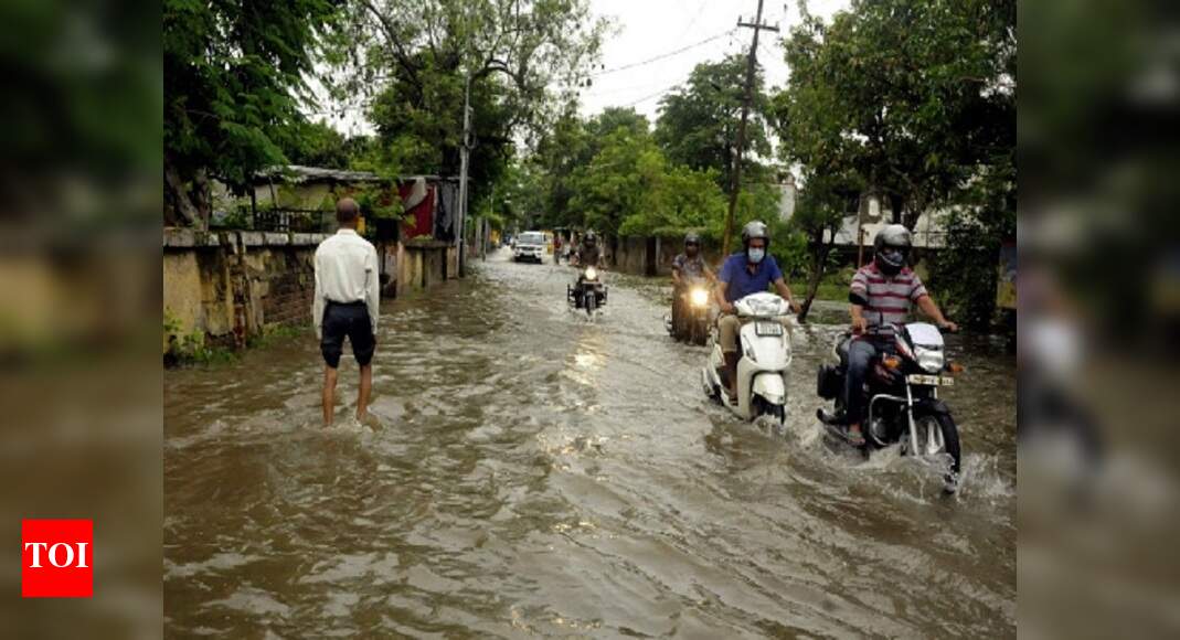 Bihar: Monsoon rainfall may revive from Thursday | Patna News - Times ...