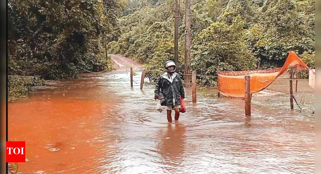 Due to floods, Advalpal bridge remains submerged | Goa News - Times of ...