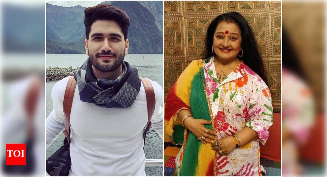 Varun Toorkey and Apara Mehta to join the cast of Choti Sarrdaarni ...