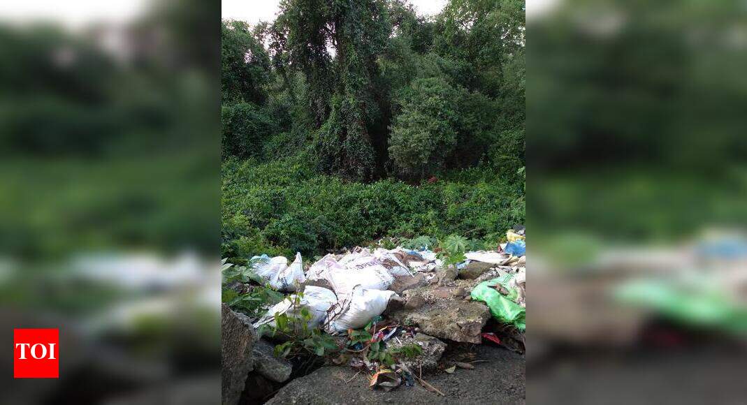 Mumbai:‘Trash, concrete sacks amid mangroves dumped to kill’ | Mumbai ...