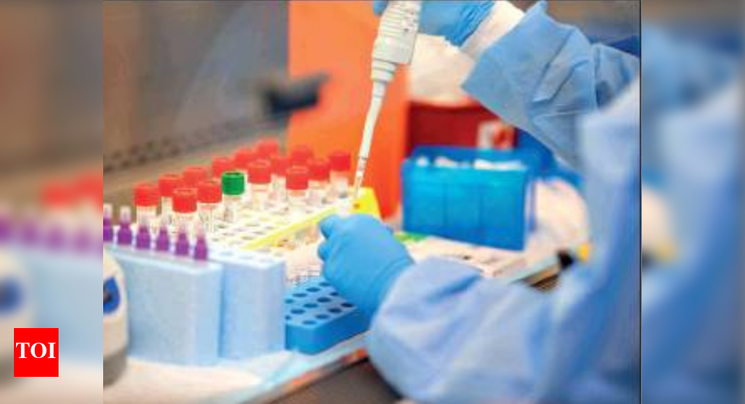 50% of Covid tests now RT-PCR across Maharashtra | Pune News - Times of ...