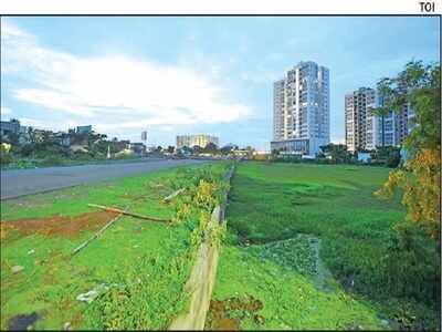 Madras HC asks state government for report on encroachment of lake on ...