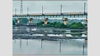 EIA nod needed for clearing Periyar obstruction | Kochi News - Times of ...